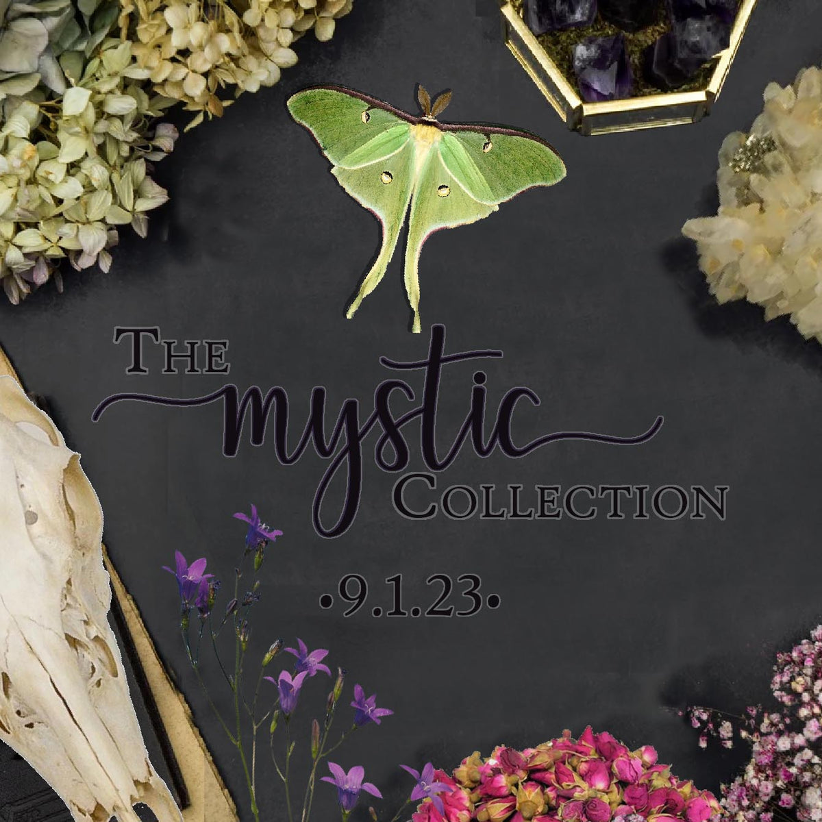 The Mystic Collection – Little Wander Shop
