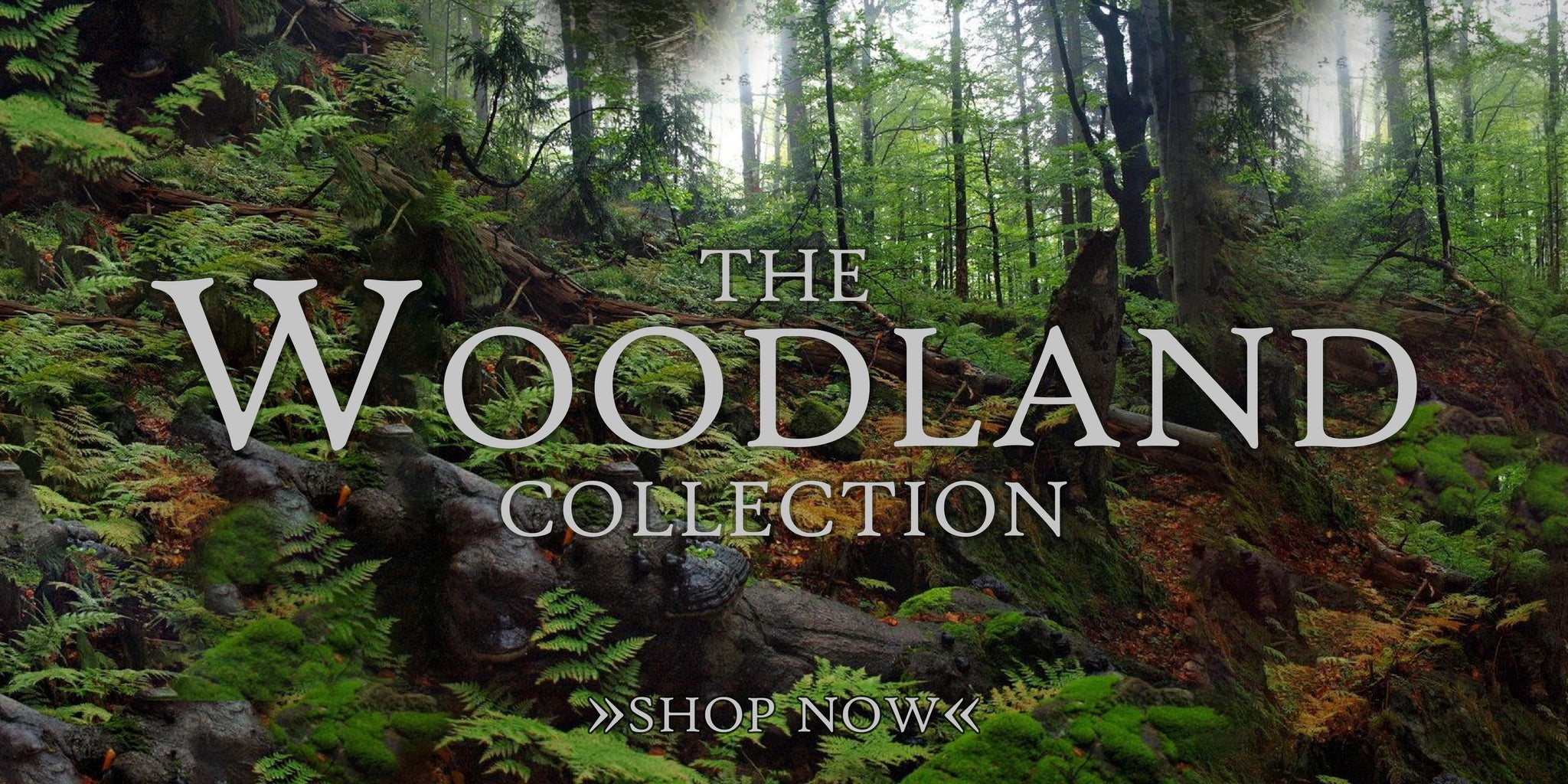 little wander shop – Little Wander Shop